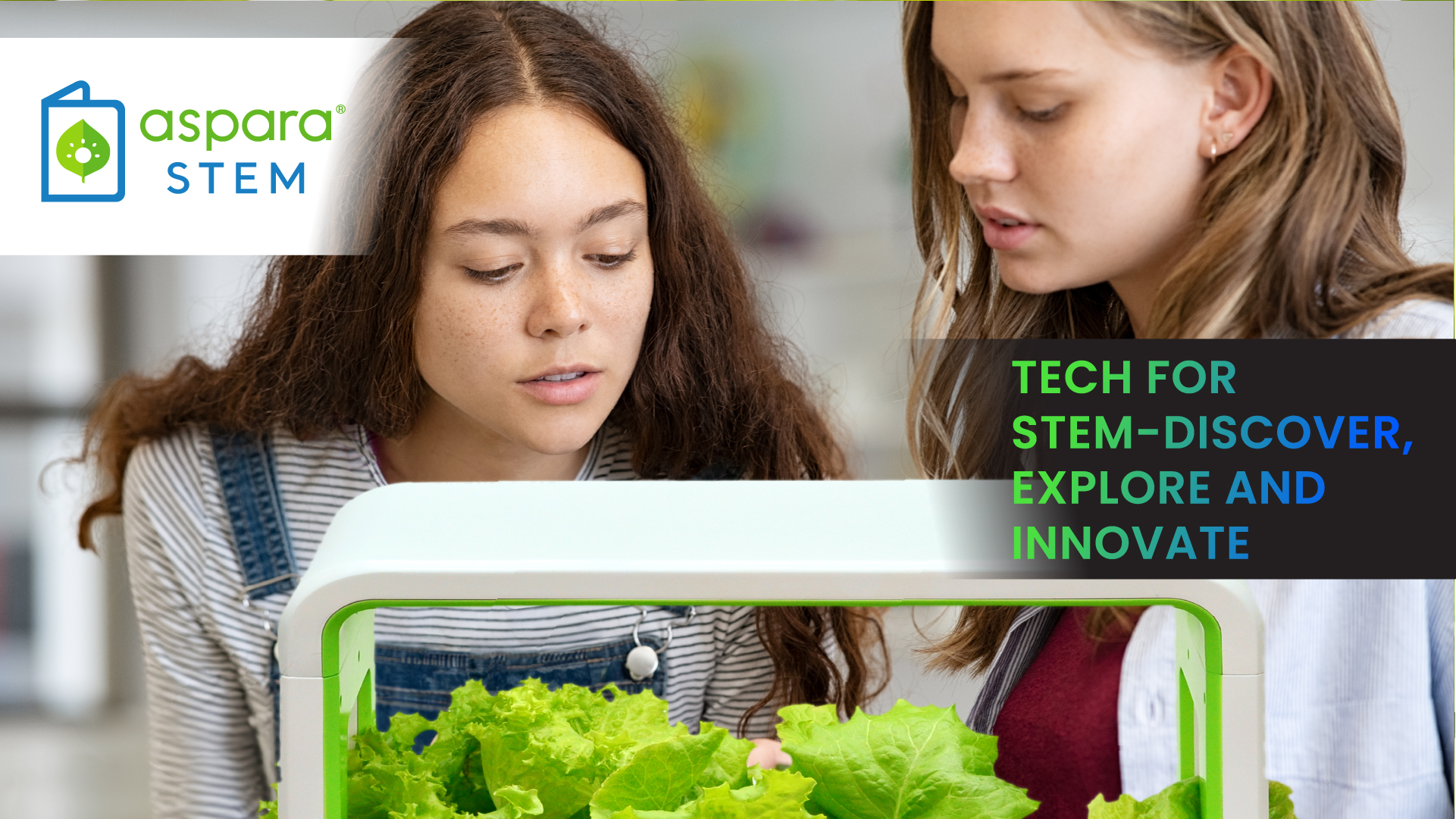 growgreen – Fresh veg and smart systems