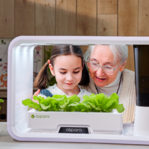 growgreen – Fresh veg and smart systems